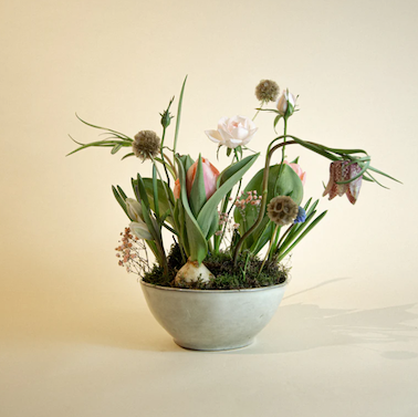 Growing Bouquets - florel_de